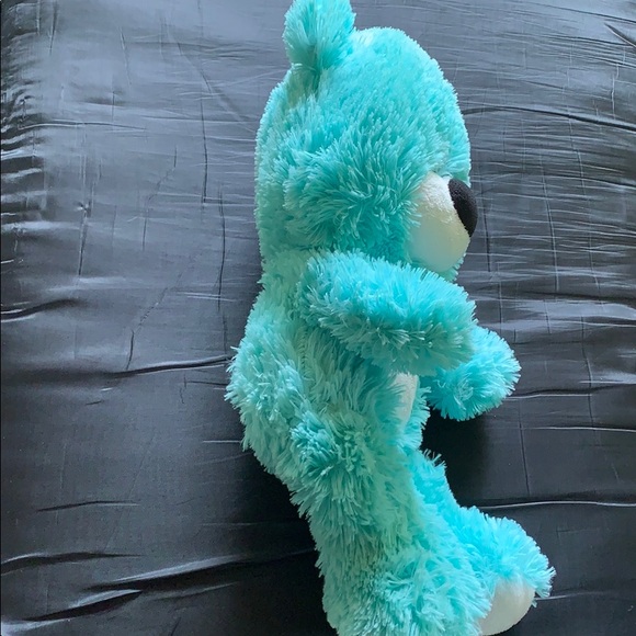 Other | Turquoise Teddy Bear | Poshmark
